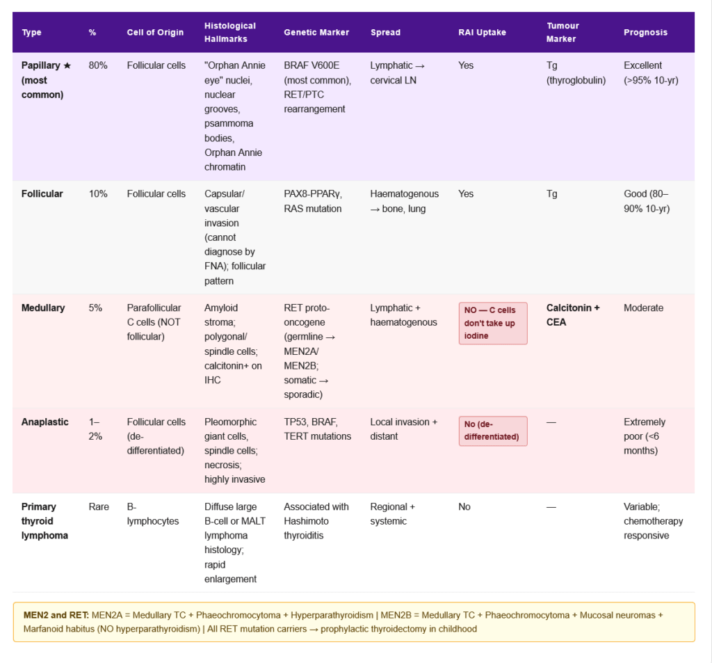 Thyroid Hormones — Complete Guide for NEET PG, USMLE & AIIMS ...